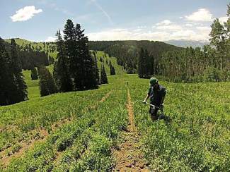 Forest Service could get ATVs back on roads soon | SummitDaily.com