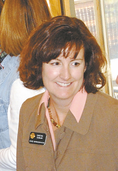 Scanlan: I’m staying with State House | SummitDaily.com