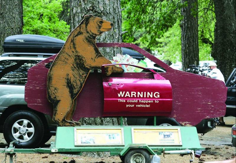 Speed can kill in national parks | SummitDaily.com