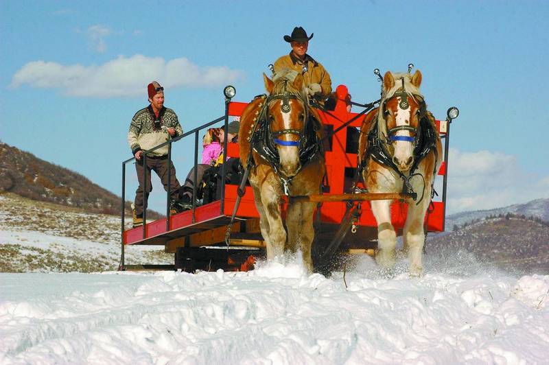 Colorado ranch adds another family attraction to activities ...