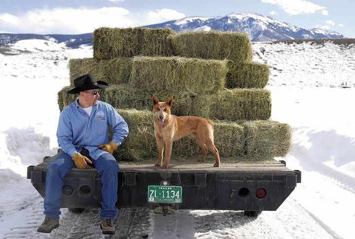 Hay ride | SummitDaily.com
