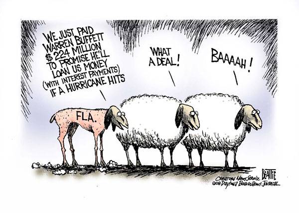 Political sheep | SummitDaily.com