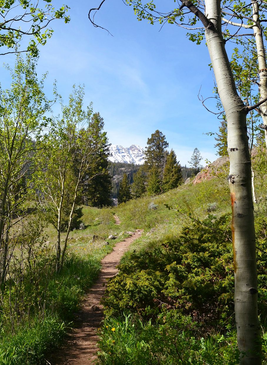 Settling Into Stanzas: The “Salley Gardens” of Yeats at Lower Cataract ...