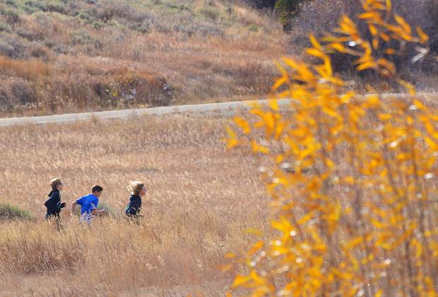 Young, hungry Tigers on the trail | SummitDaily.com