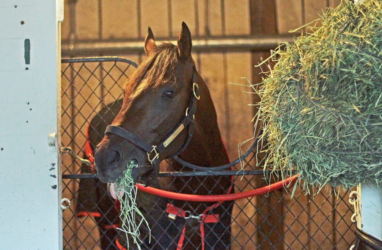 Derby winner looks to Preakness | SummitDaily.com