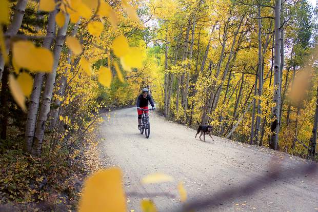 Big Fat Tire: Find new fall mountain bike rides on Gold Dust trail and ...