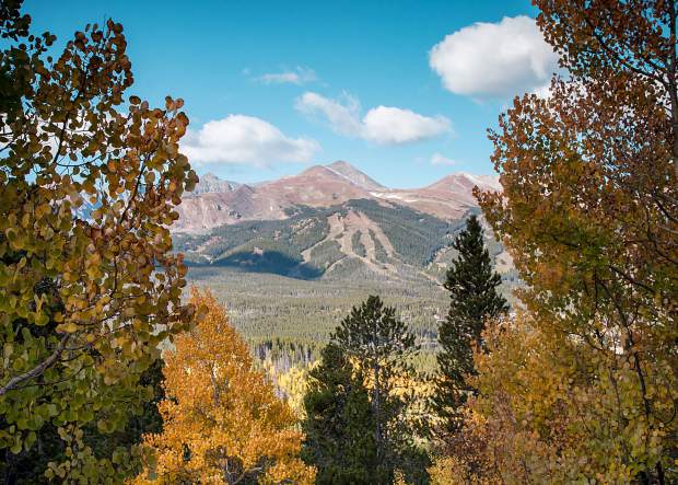 Why do leaves change color? The science behind fall foliage and best ...