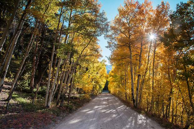 Why do leaves change color? The science behind fall foliage and best ...