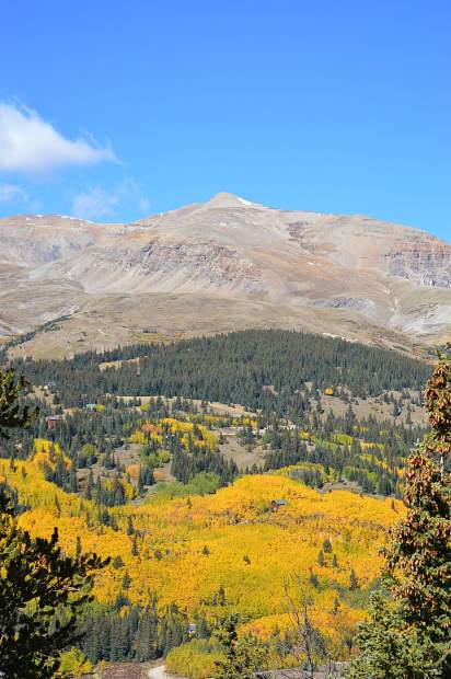 Why do leaves change color? The science behind fall foliage and best ...