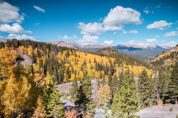 Why do leaves change color? The science behind fall foliage and best ...