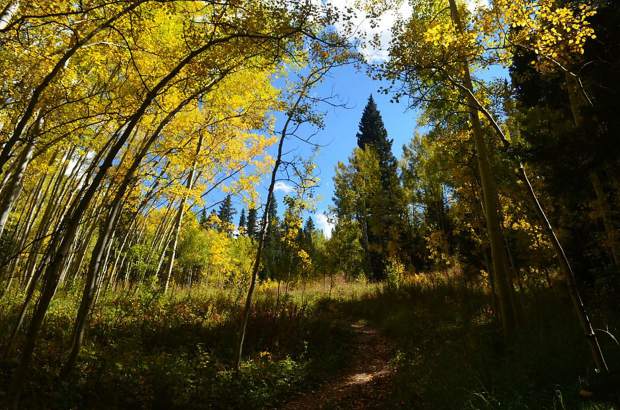 Best fall hikes for aspen leaves in Summit County (before they’re gone ...