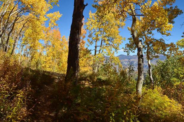 Best fall hikes for aspen leaves in Summit County (before they’re gone ...