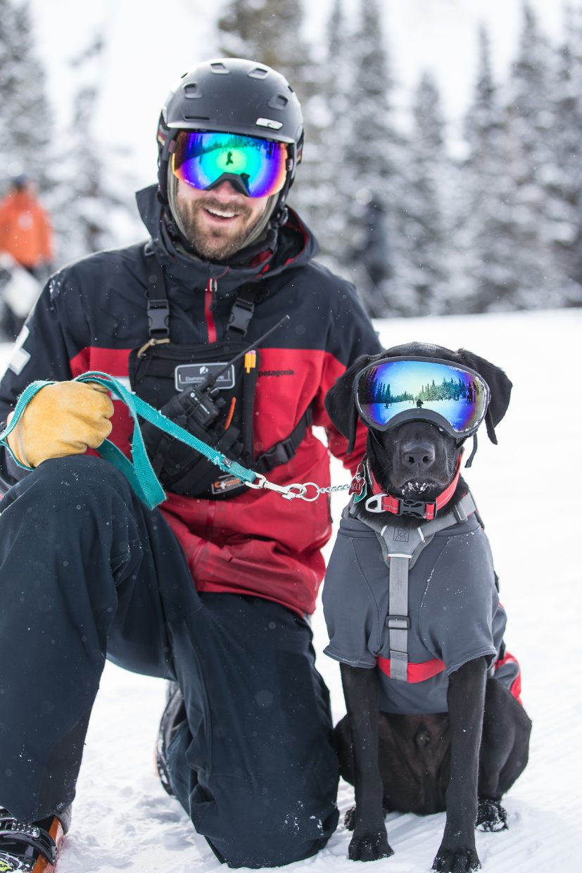 Summit County avalanche rescue dogs train to save lives | SummitDaily.com