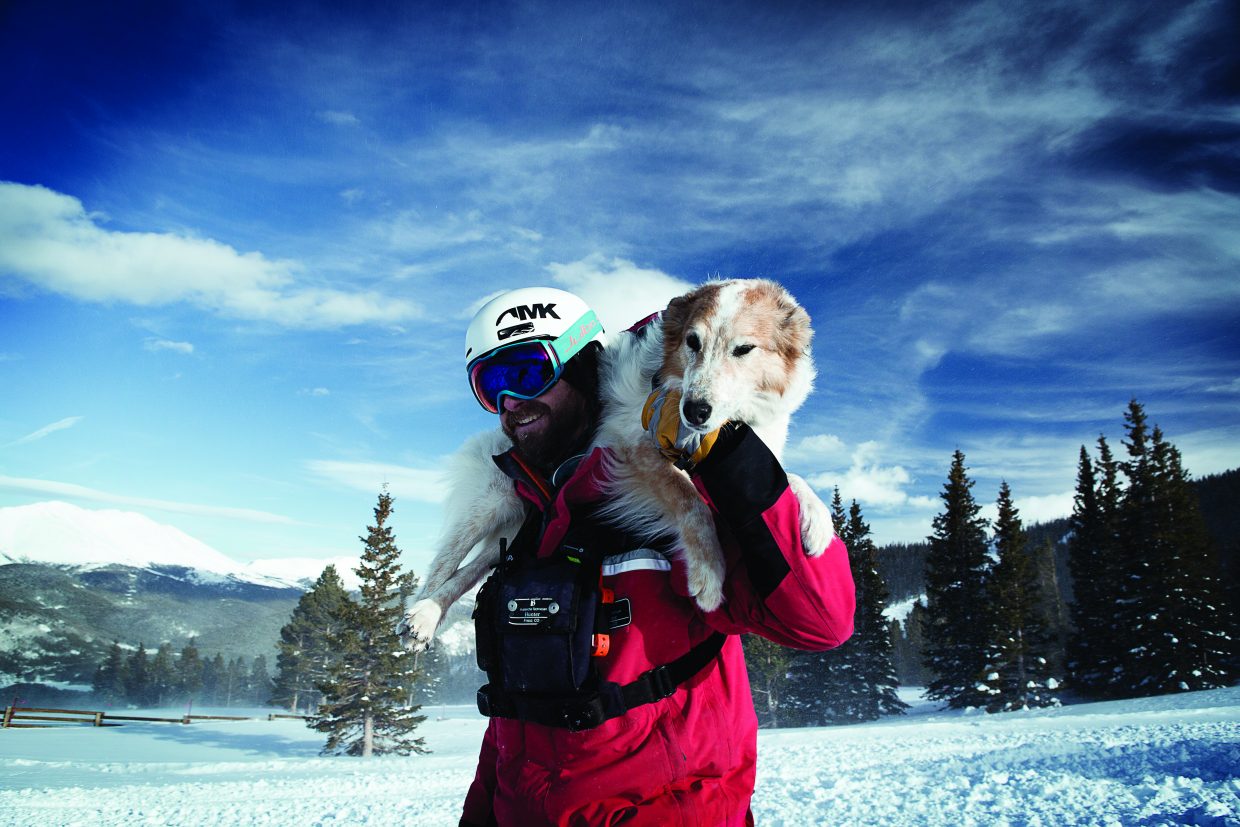Summit County avalanche rescue dogs train to save lives | SummitDaily.com