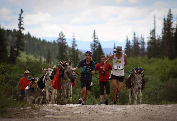 ‘This is not a human race’: At Frisco talk, burro racers describe key ...