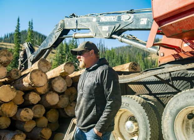 Monarch ski resort tackling spruce beetle infestation | SummitDaily.com