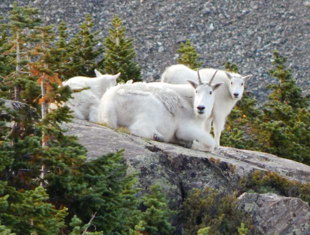 Top reader photos of 2018 | SummitDaily.com