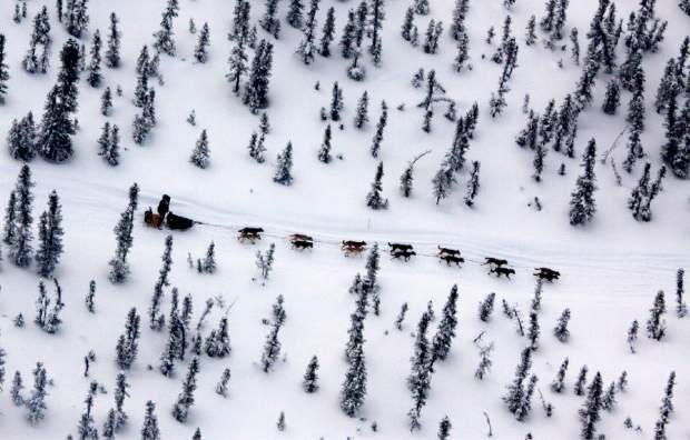High-tech help connects fans to Iditarod | SummitDaily.com