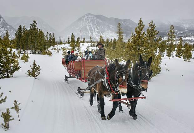 Lovely weather for a sleigh ride together | SummitDaily.com