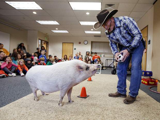 Photos: Top Hogs pig show at the library | SummitDaily.com