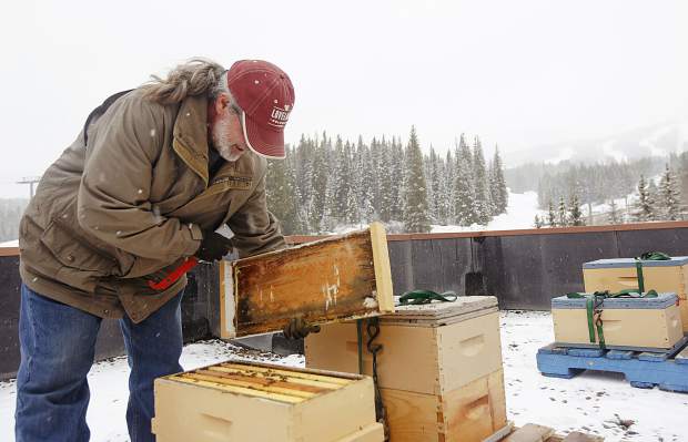 Beaver Run puts ‘the bee’ in sustainability | SummitDaily.com