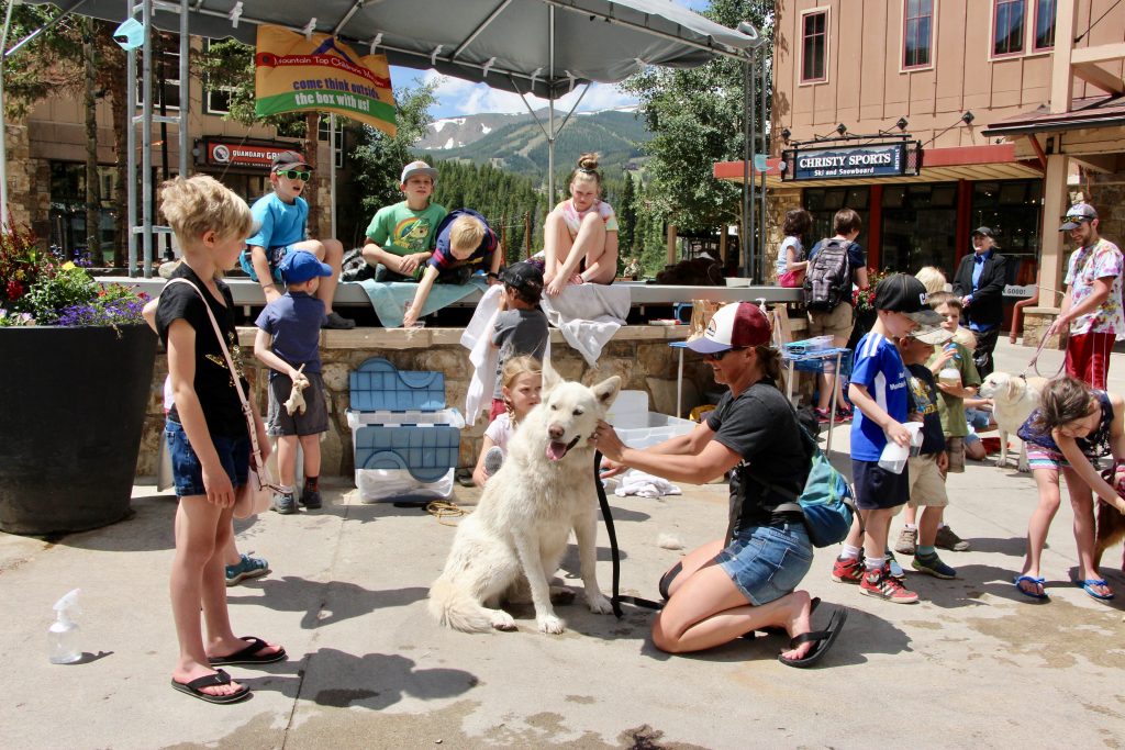 Photos: Mountain Top Children’s Museum dog washing day | SummitDaily.com