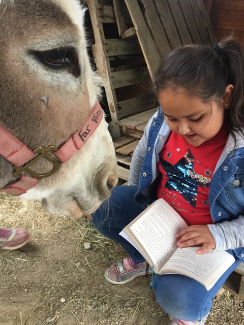 Read With a Donkey program encourages kids to read with a nonjudgmental ...