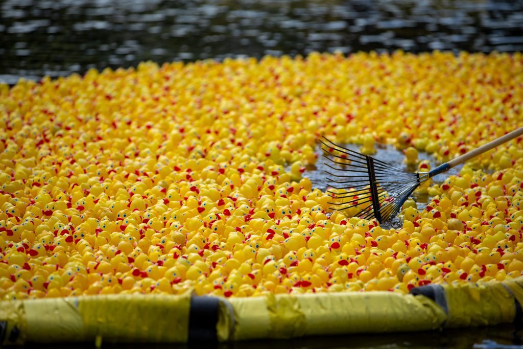 Photos: The Great Rubber Duck Race | SummitDaily.com