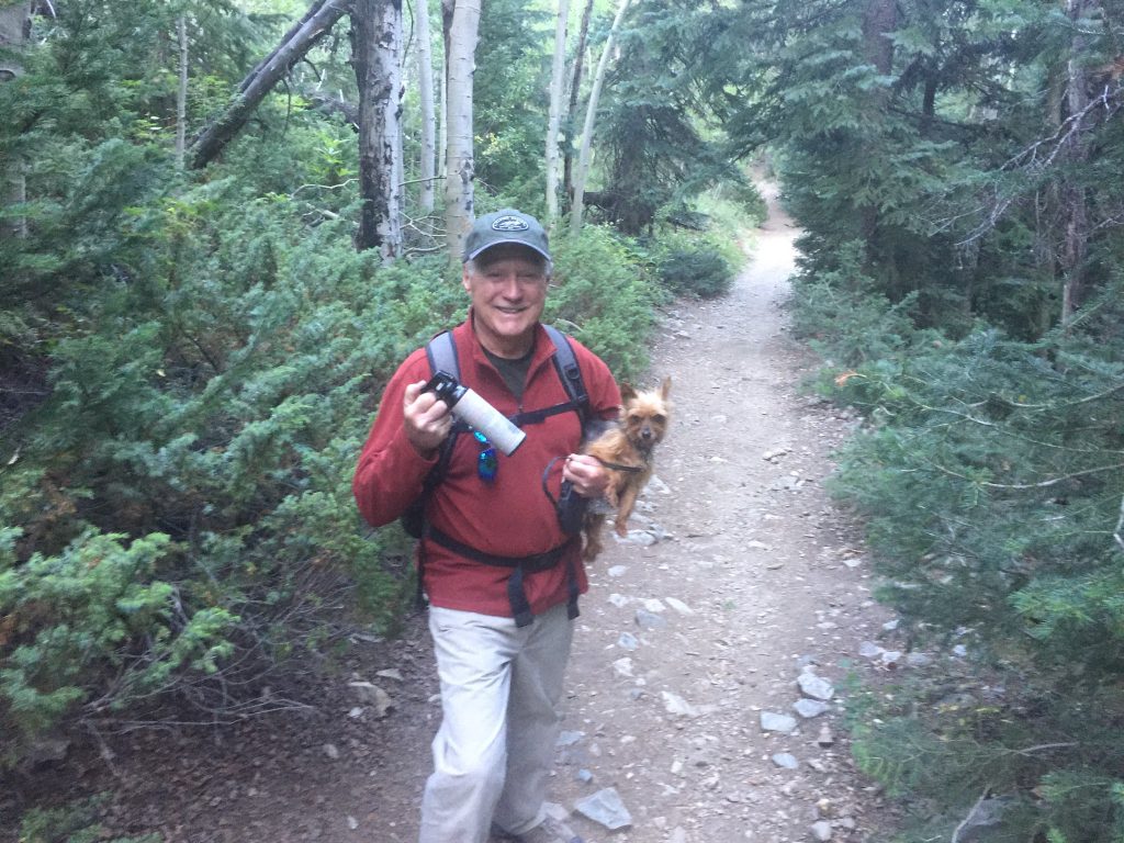 Summit County visitor escapes tense moose encounter while hiking on ...