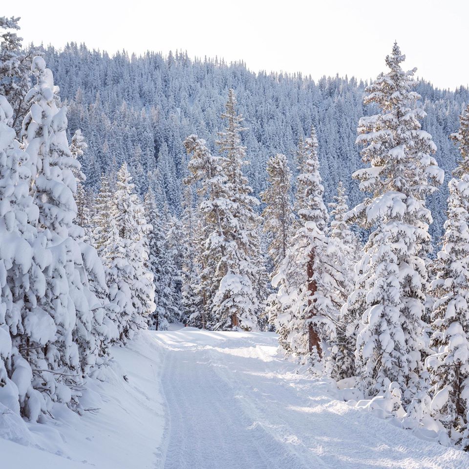 Keystone Resort opens Bergman Bowl hike-to terrain | SummitDaily.com