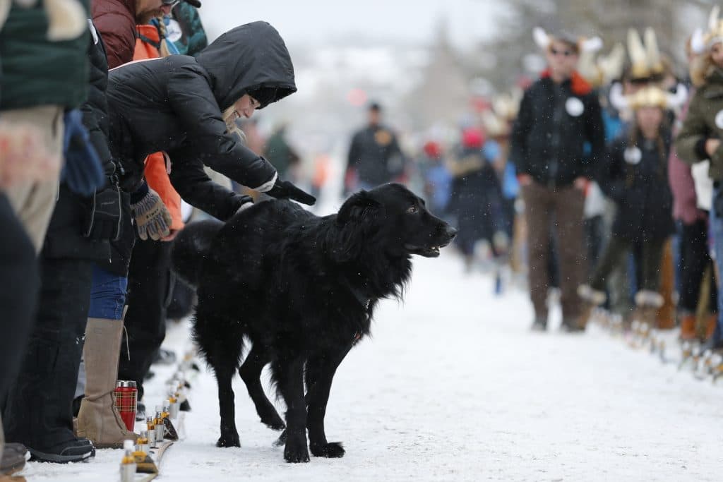 Photos: Ullr Fest parade in Breckenridge | SummitDaily.com