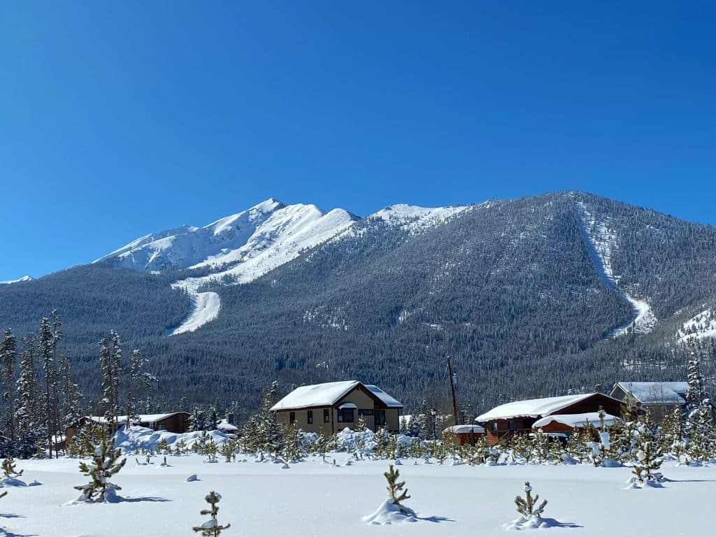 Fiester Preserve dispute may have been avoided with land swap that ...