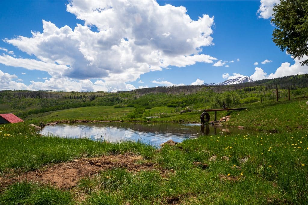 After induction into Colorado State Rodeo Wall of Fame, George ...