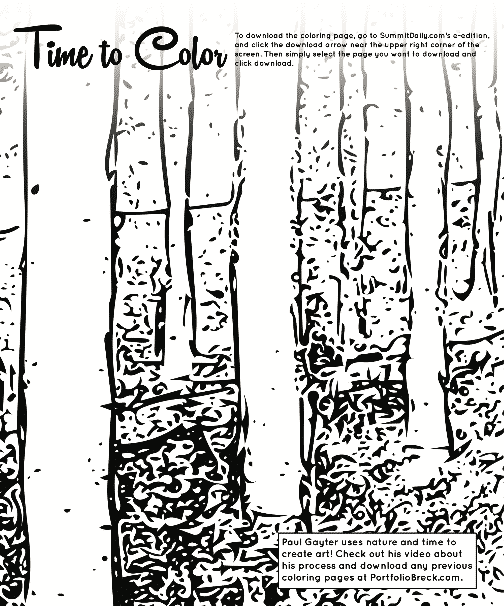 Aspen Tree Coloring Page Sketch Coloring Page