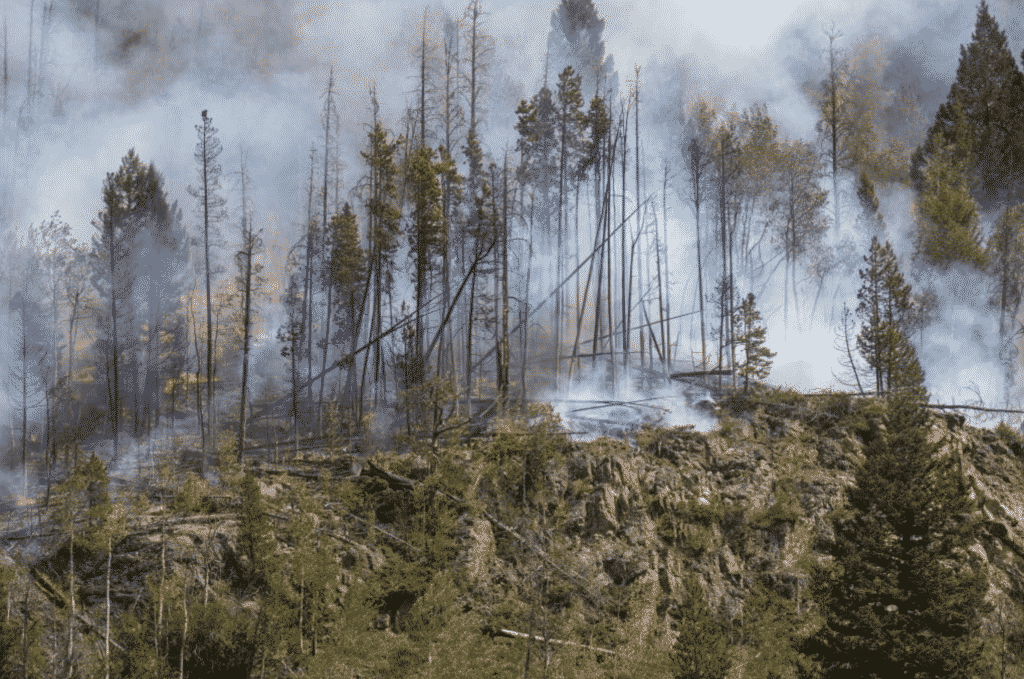 Weather minimizes growth of Williams Fork Fire as firefighters focus on ...