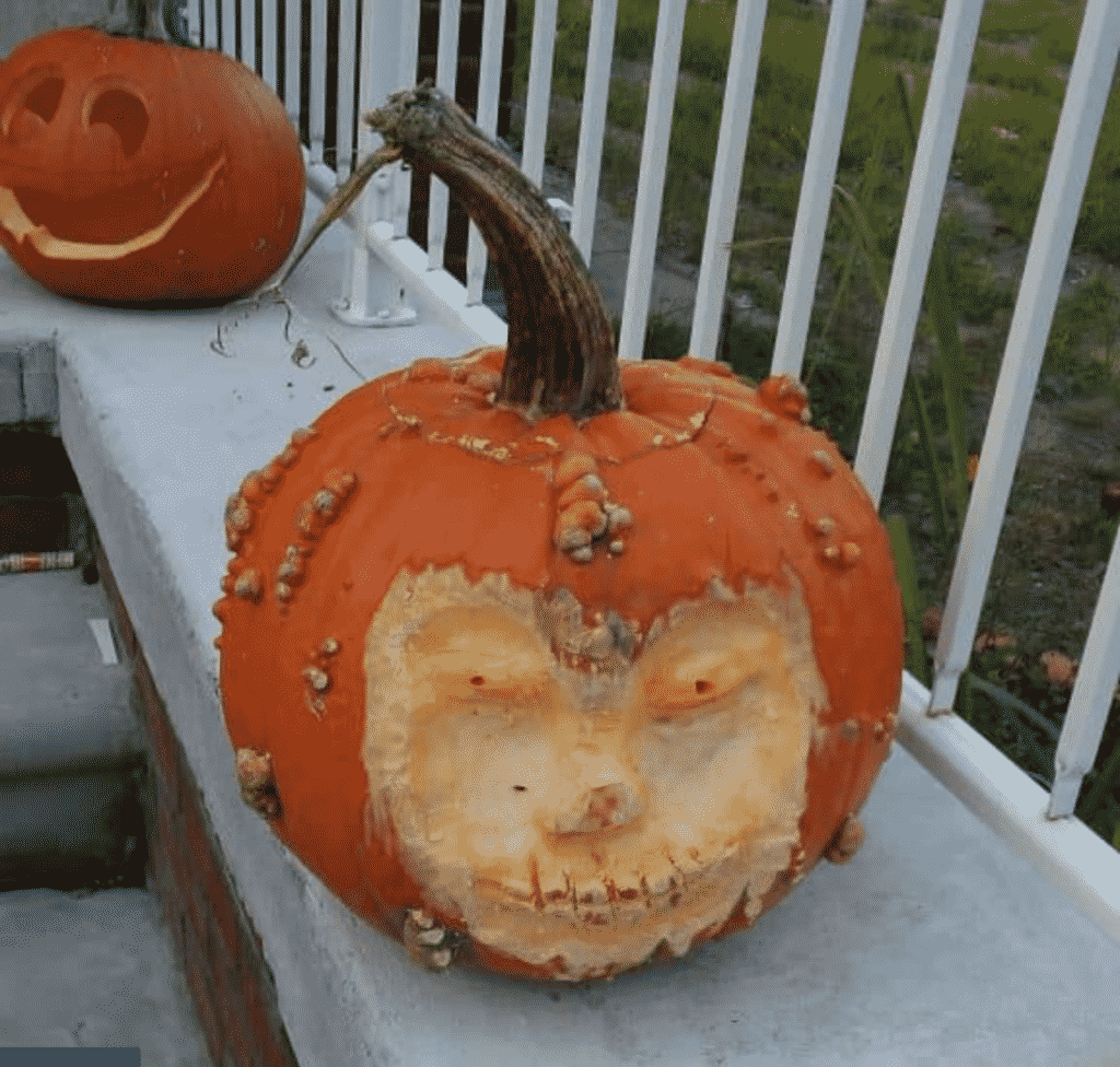 3 ideas to enjoy a pandemic-friendly Halloween | SummitDaily.com