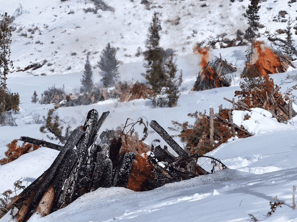 US Forest Service to conduct controlled burns at Ruby Ranch near ...