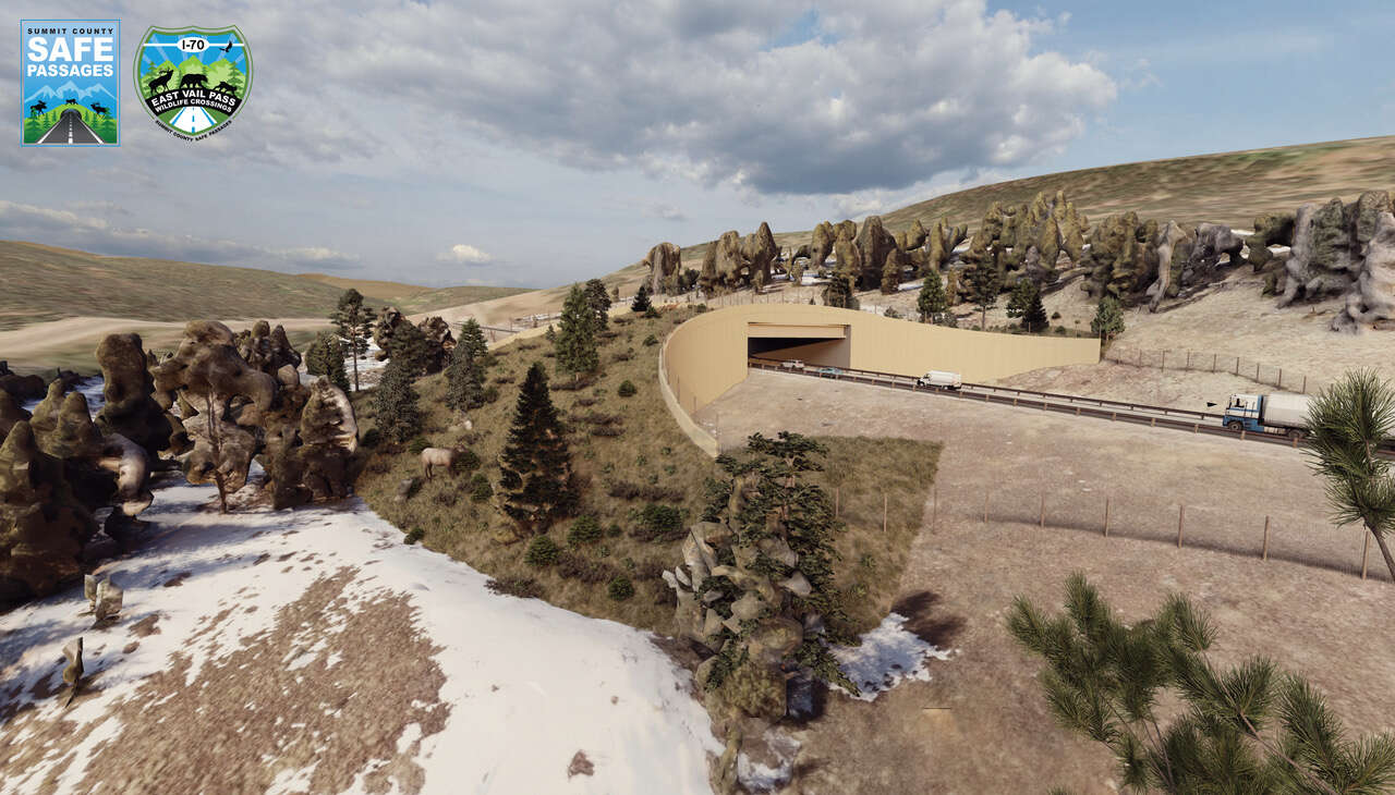 Get Wild: Reconnecting Vail Pass | SummitDaily.com