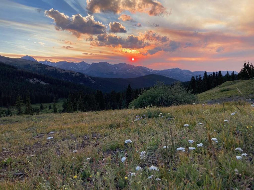 Get Wild: How to show our appreciation for the natural world on Earth ...