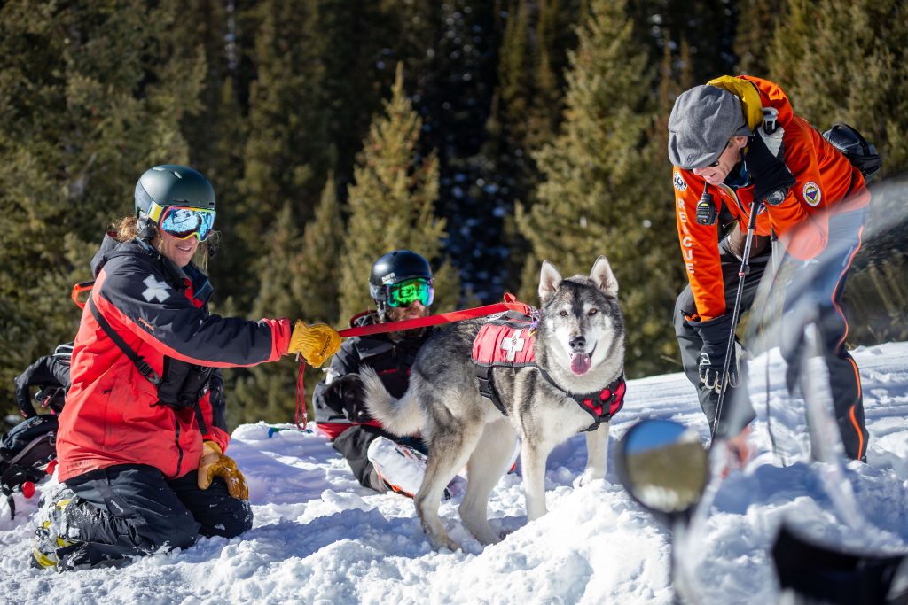 Flight for Life demonstration showcases tools essential in avalanche ...