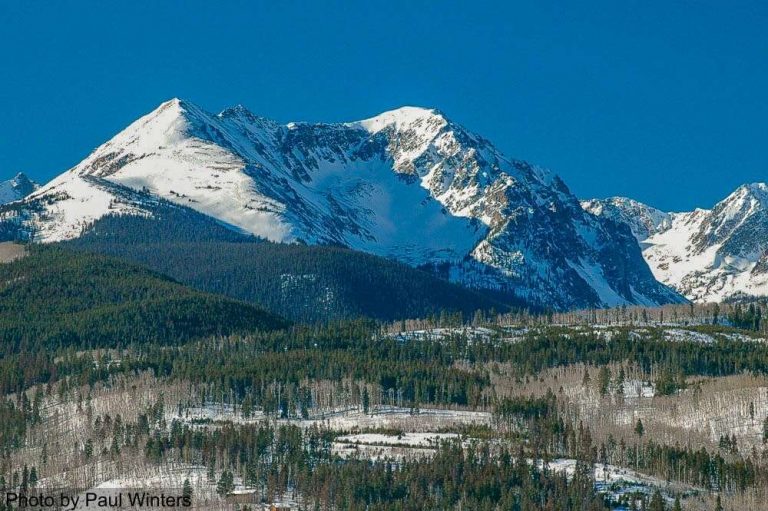 Get Wild: What determines tree line? | SummitDaily.com