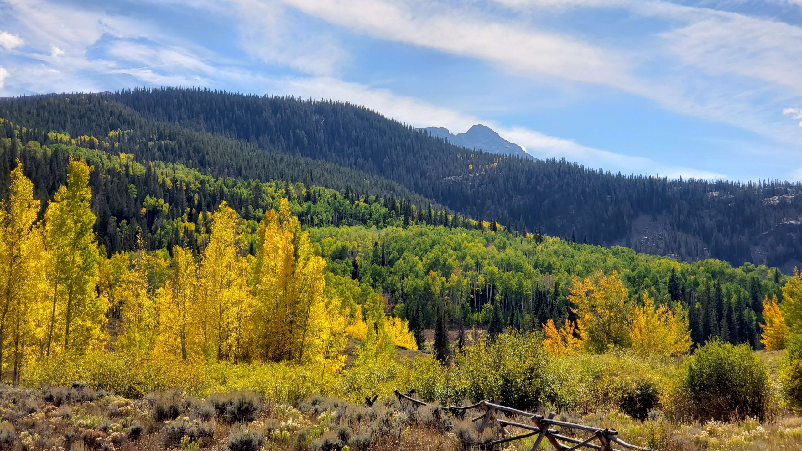 Photos: Explosion of golden fall foliage captures Summit County ...