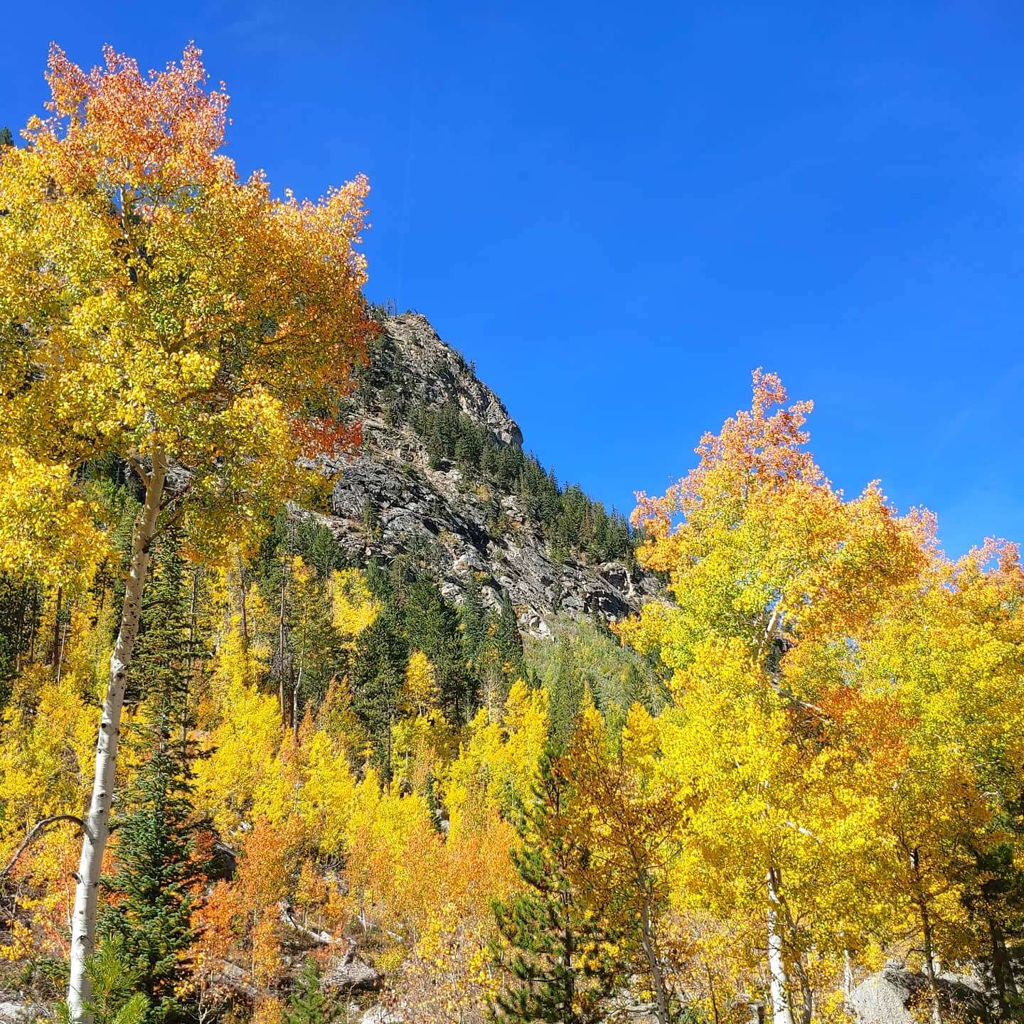 Photos: Explosion of golden fall foliage captures Summit County ...