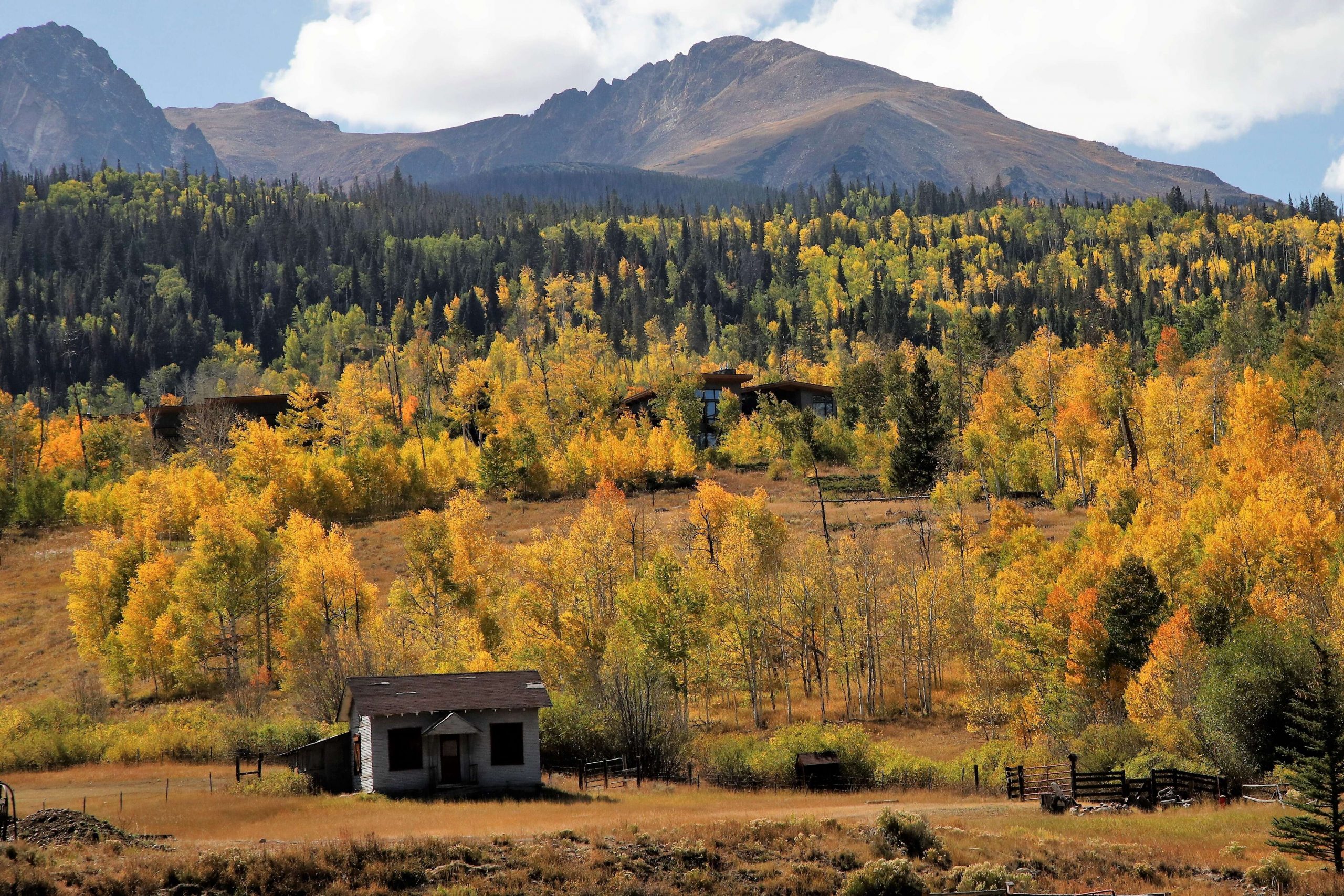 Photos: Explosion of golden fall foliage captures Summit County ...