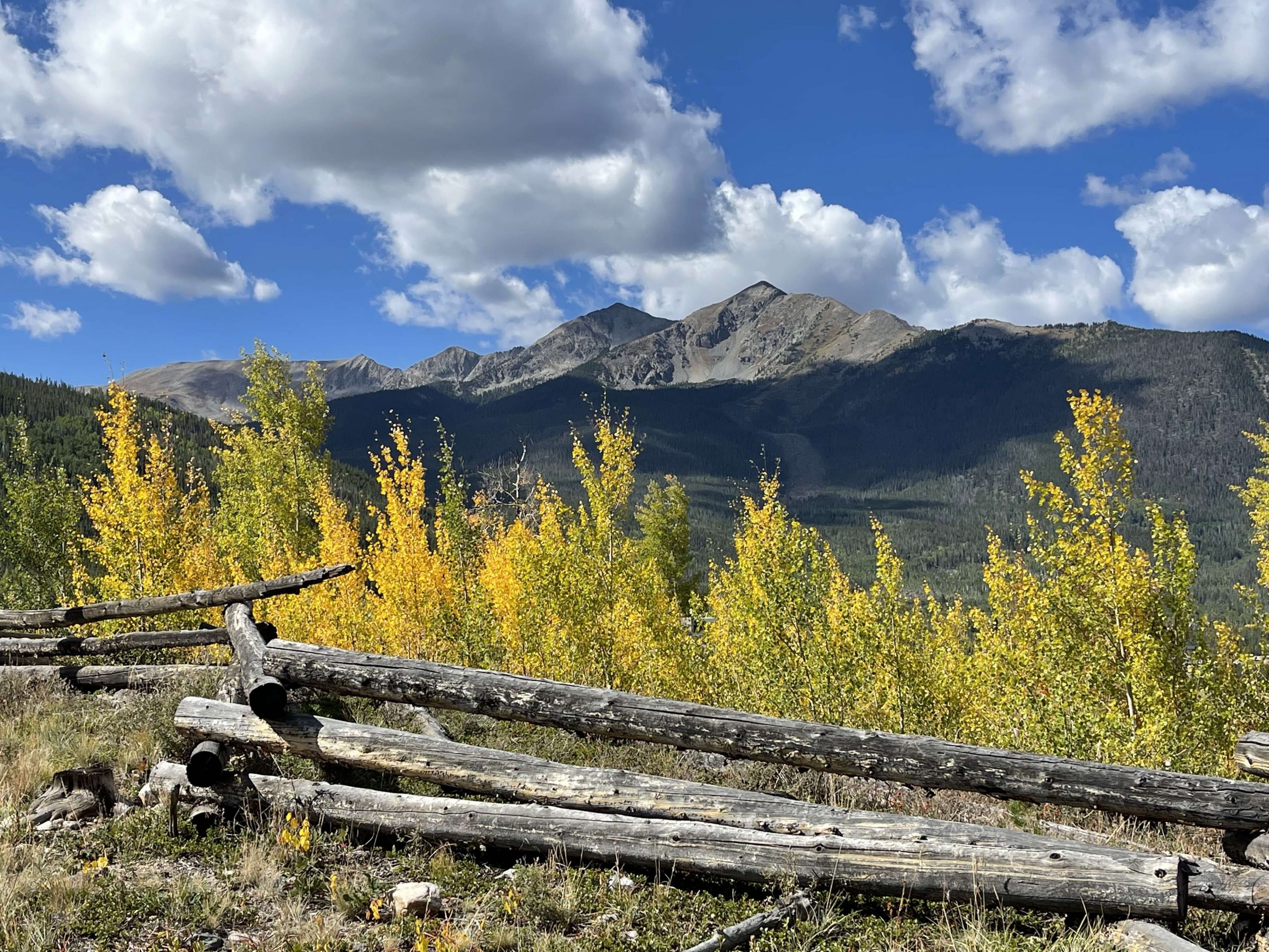 Photos: Fall colors make an appearance in Summit County | SummitDaily.com