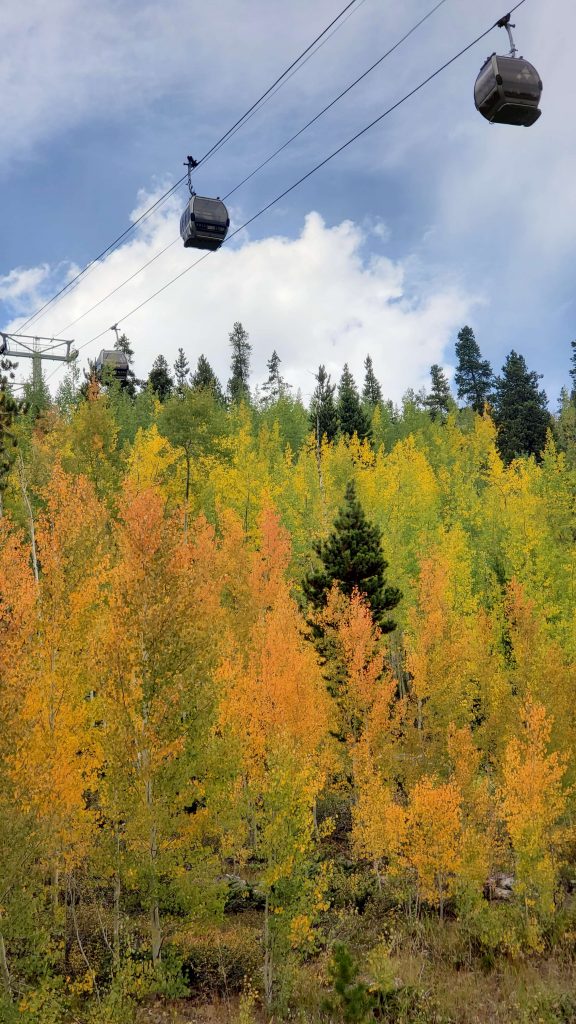 Photos: Fall colors make an appearance in Summit County | SummitDaily.com