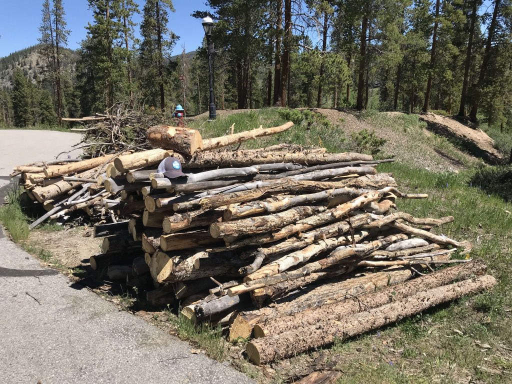 1,810 Summit County residences participate in 8th annual wildfire ...