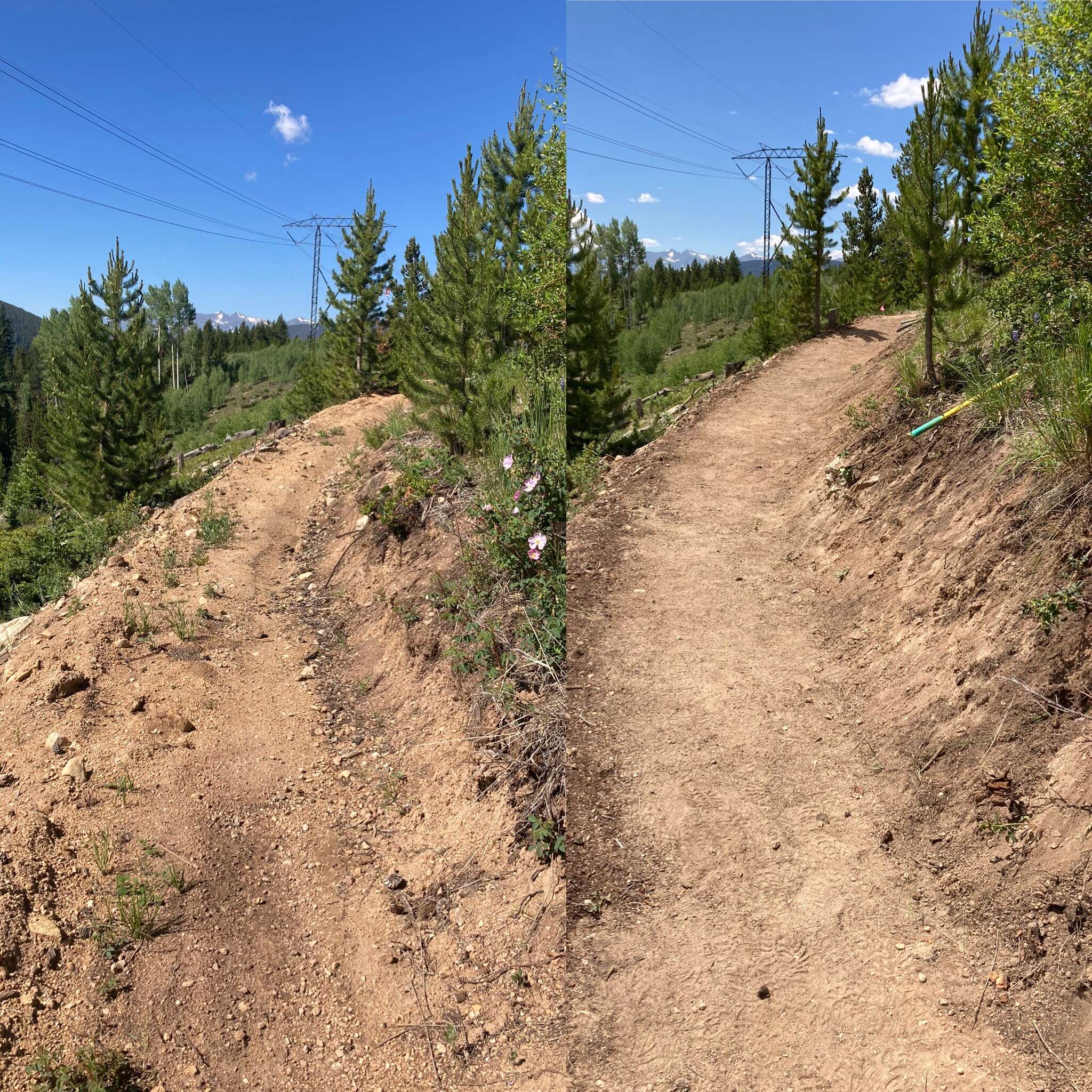 Friends of the Dillon Ranger District making strides halfway through ...