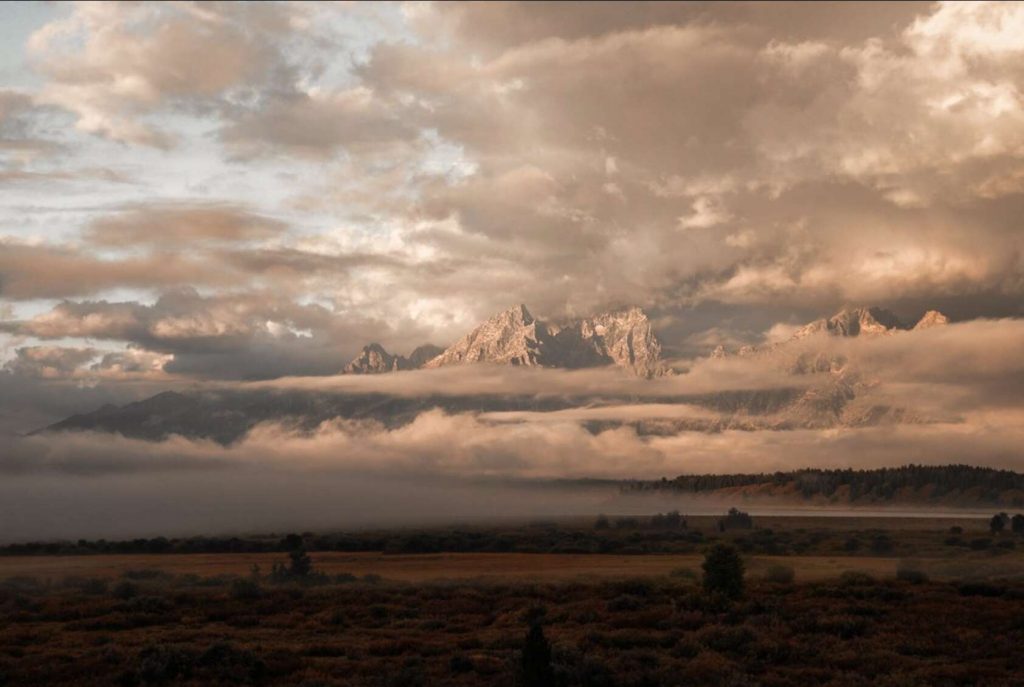 Relax with summer art shows to recover from the long weekend ...