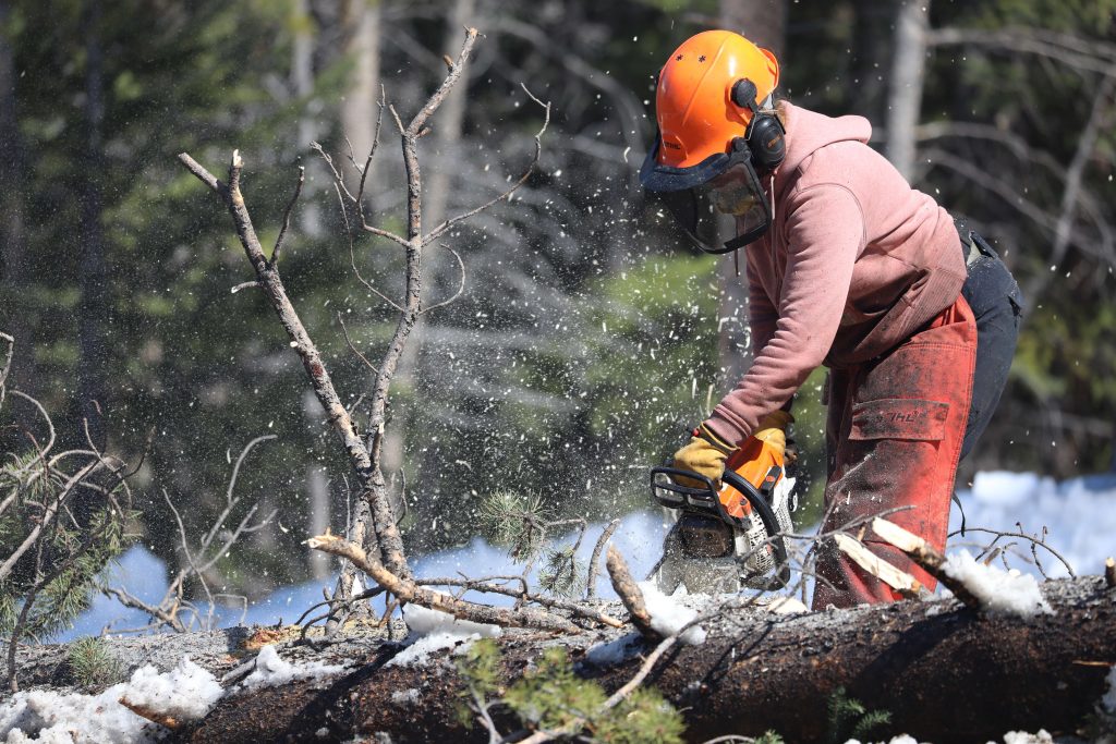 Summit wildfire council recommends 11 projects for mitigation and ...